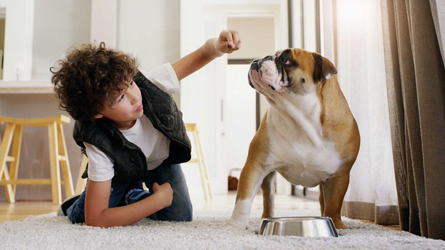 Autism and Animal Therapy: Empowering Connections