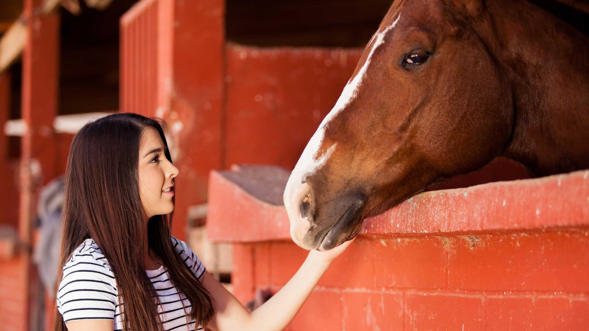 Autism and Animal Therapy: Empowering Connections
