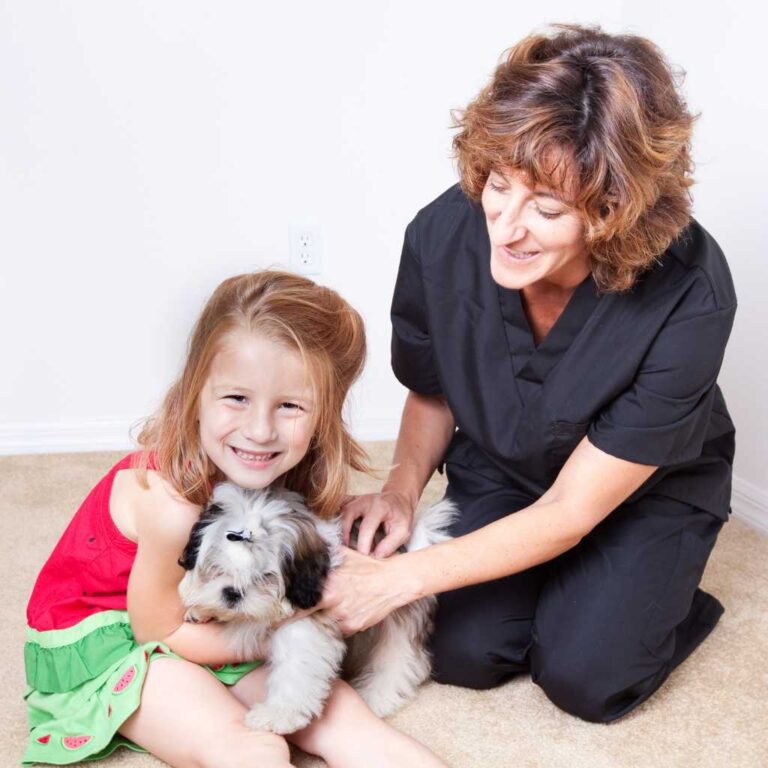 Autism and Animal Therapy: Empowering Connections